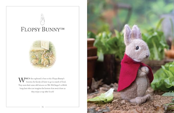 Knitting Peter Rabbit - 12 Toy Knitting Patterns from the Tales of Bea ...